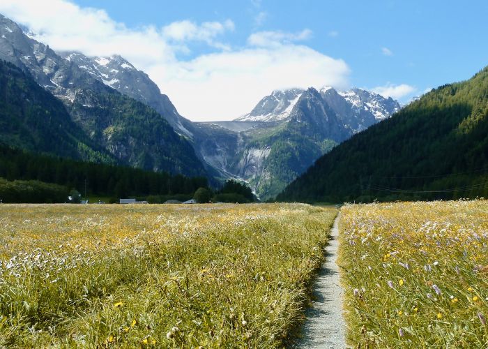 Bregaglia Engadin Turismo - Bregaglia Engadin Turismo